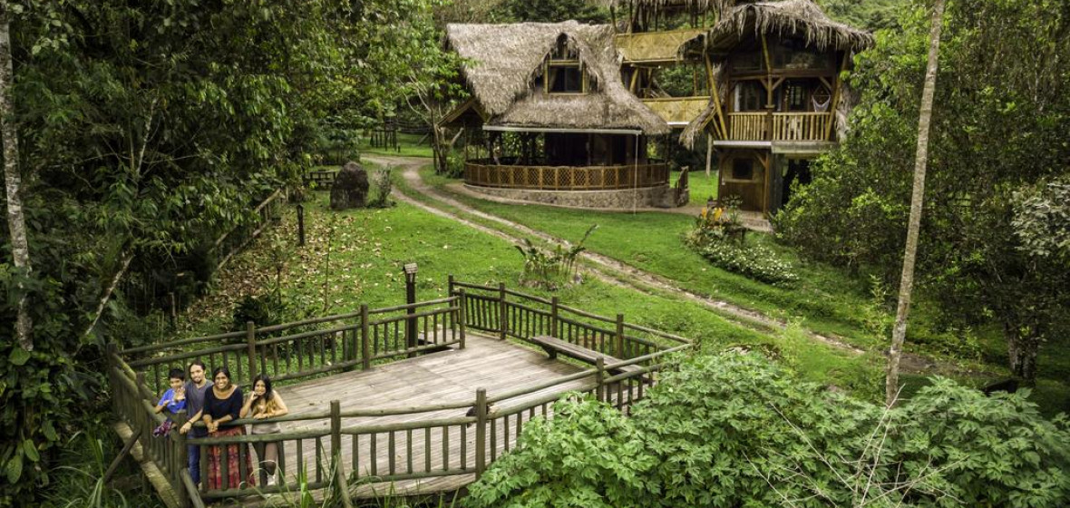 Sacha Lodge, Pichincha Province Review | The Hotel Guru