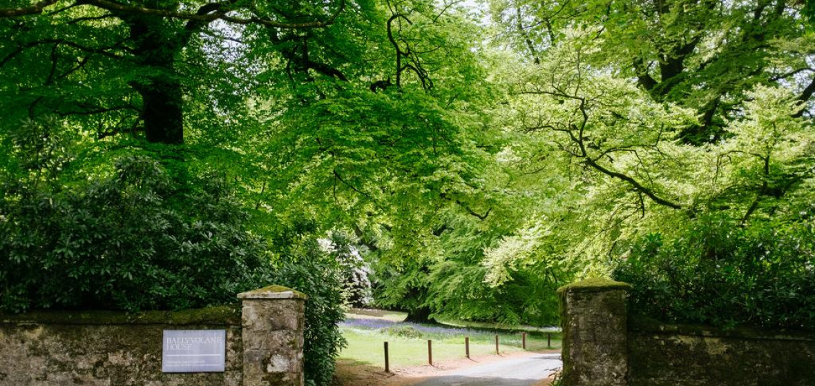 Ballyvolane House, County Cork Review | The Hotel Guru
