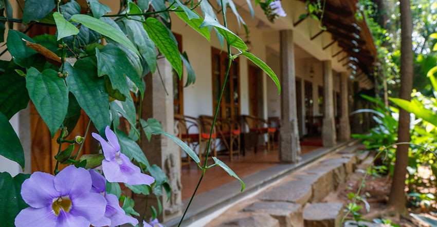 Fort House Hotel, Kochi Review | The Hotel Guru