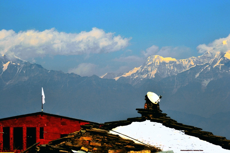 Mohan's Binsar Retreat, Almora Review | The Hotel Guru