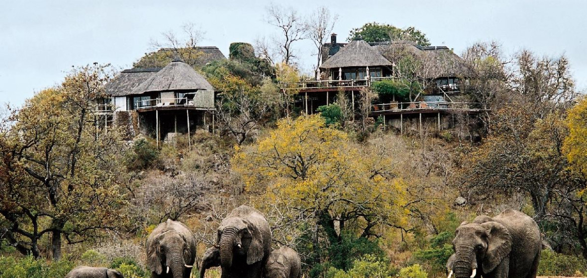 Leopard Hills Private Game Reserve, Mpumalanga Review | The Hotel Guru