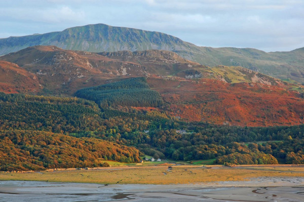 The best hotels in Snowdonia National Park | The Hotel Guru