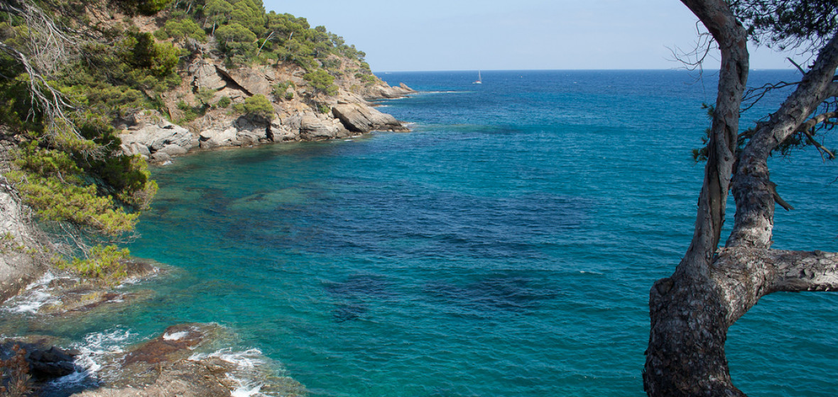 Best places to stay in Rayol Canadel sur Mer, France | The Hotel Guru