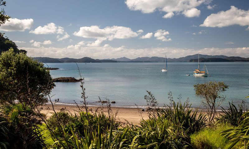 Little Donkey Bay, Bay of Islands Review | The Hotel Guru