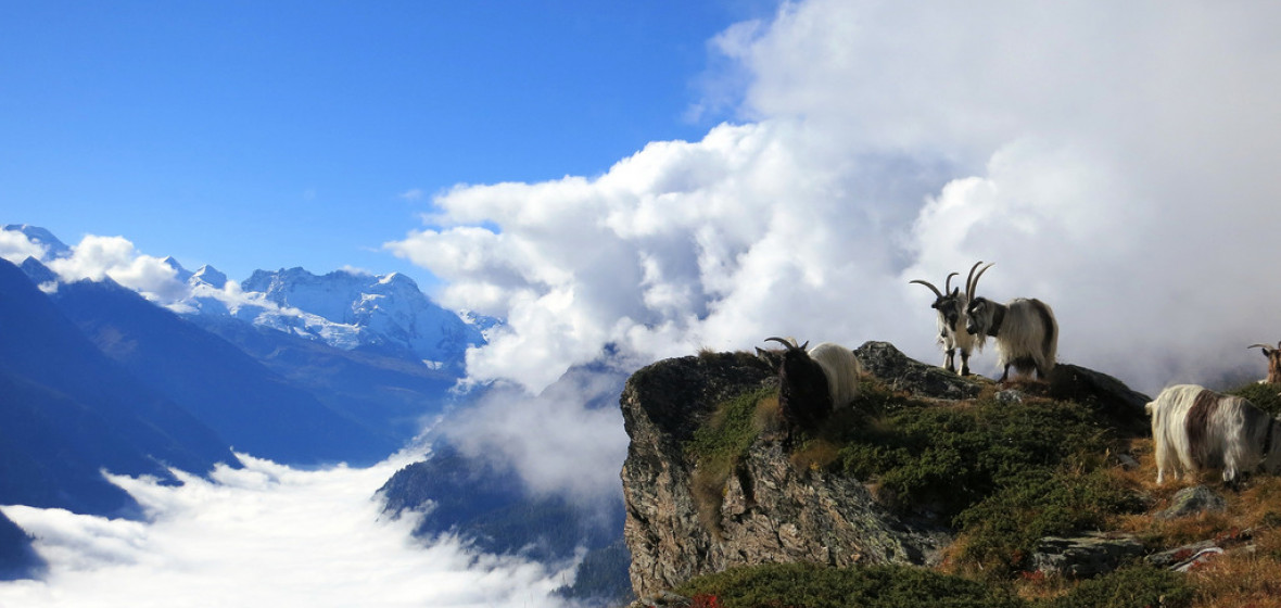 Best places to stay in St Luc, Switzerland | The Hotel Guru