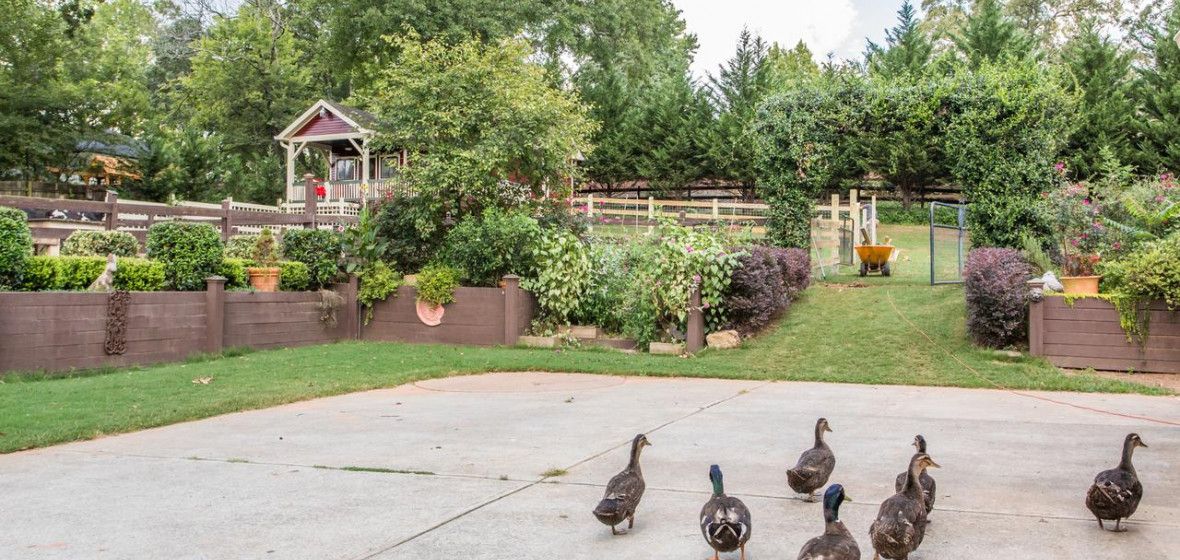 The Social Goat Bed and Breakfast, Atlanta Review | The Hotel Guru