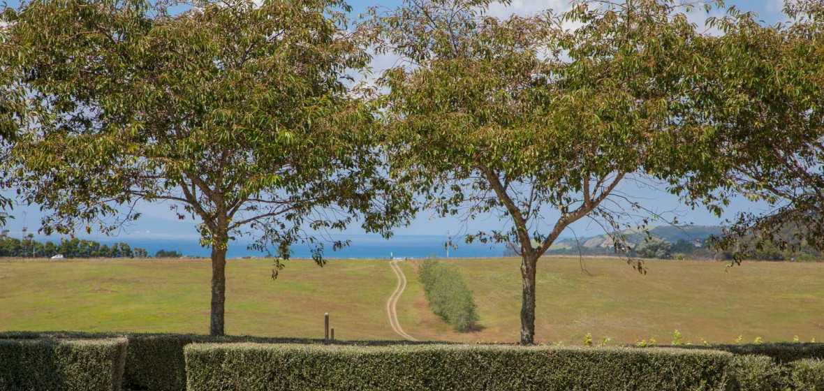Takatu Lodge & Vineyard, Matakana Review | The Hotel Guru