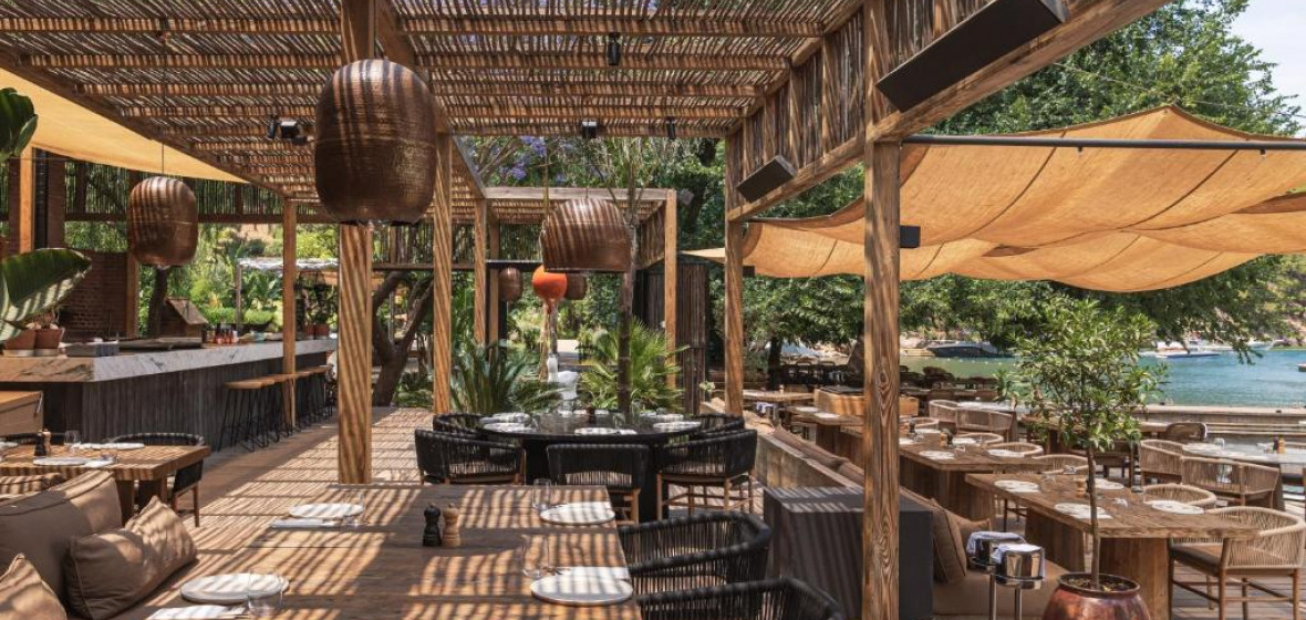 Yazz Collective , Fethiye, Turkey. Expert reviews and highlights | The ...