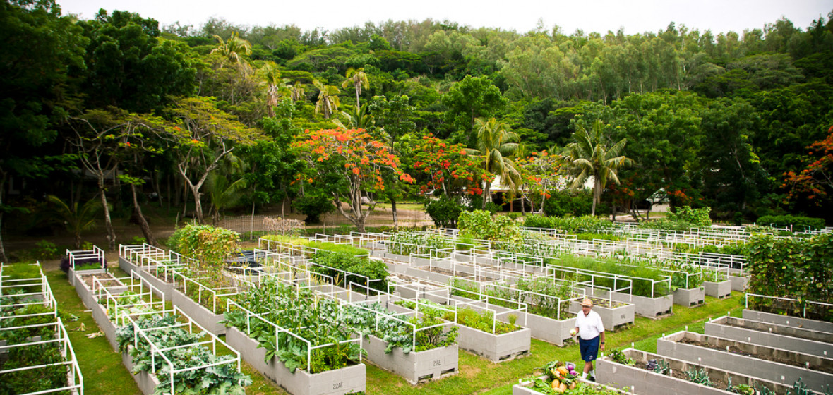 Turtle Island Fiji, Fiji (Turtle Island). Expert reviews and highlights ...