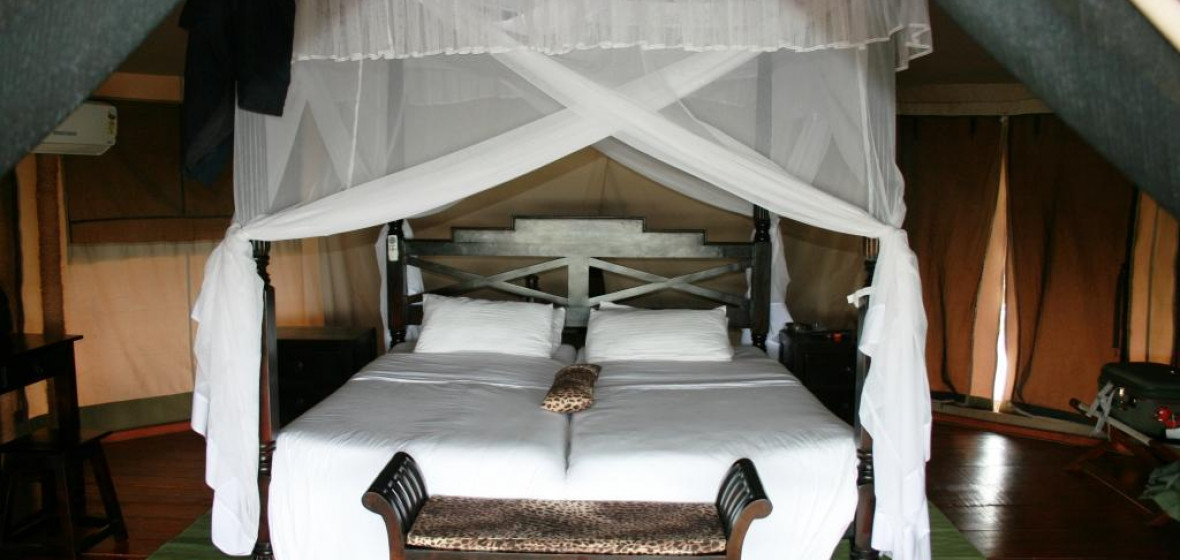 The Bison Resort, Kabini River Review | The Hotel Guru