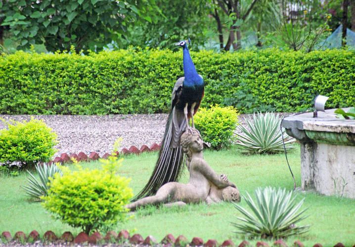 Orchard Palace, Gondal Review | The Hotel Guru