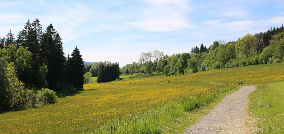 Best places to stay in Hinterzarten, Germany | The Hotel Guru