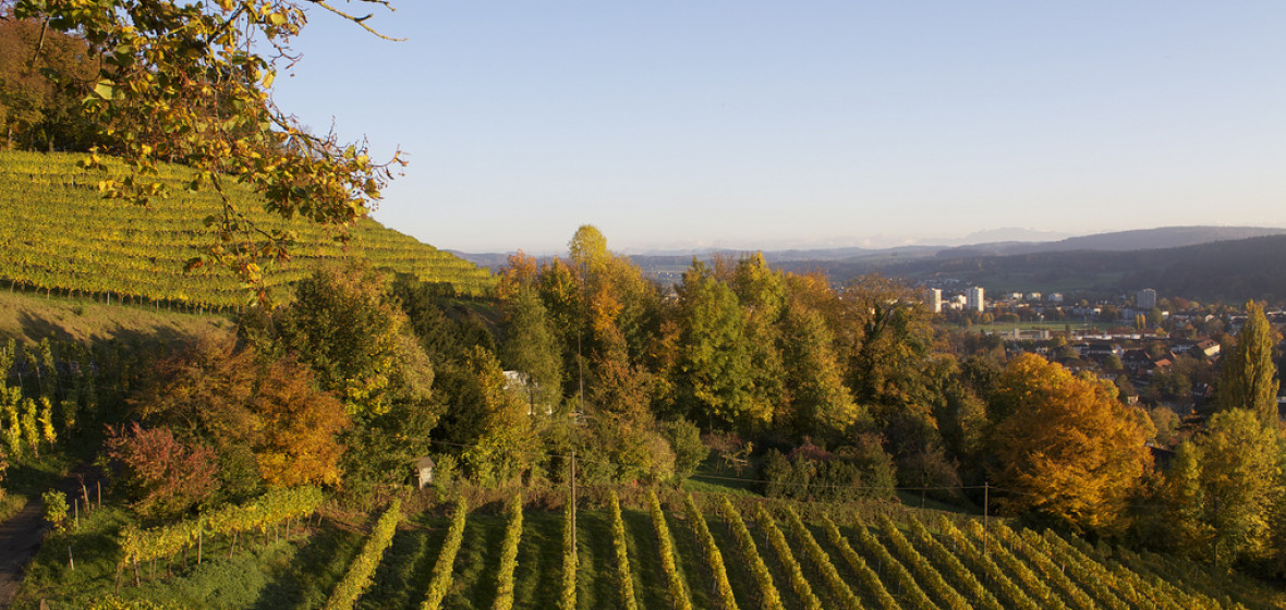 Best places to stay in Winterthur, Switzerland | The Hotel Guru