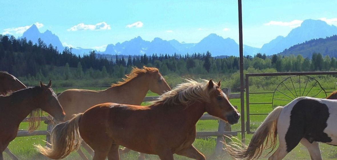 Turpin Meadow Ranch, Wyoming | Review | The Hotel Guru