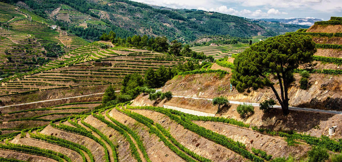 Best places to stay in Sabrosa, Portugal | The Hotel Guru