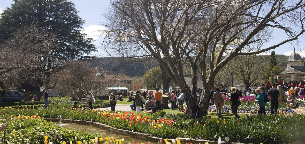 Best places to stay in Bowral, Australia | The Hotel Guru