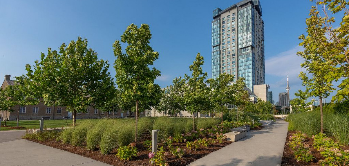 Hotel X, Toronto, Canada. Expert reviews and highlights | The Hotel Guru
