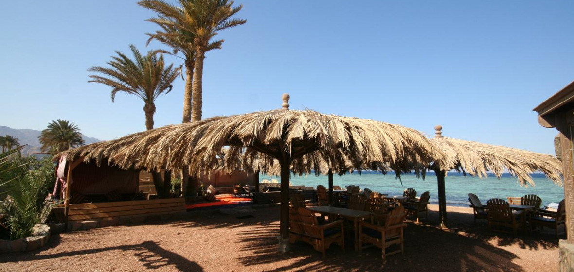 Dive Urge, Dahab Review | The Hotel Guru