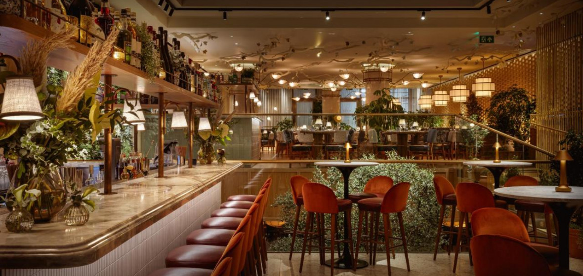 The BoTree, London (Marylebone). Expert reviews and highlights | The ...