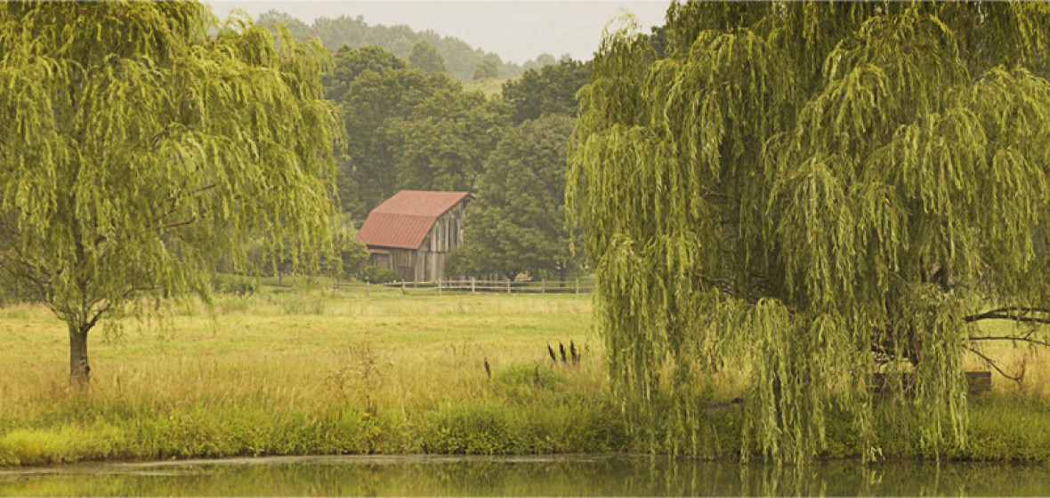 The Inn at Little Washington, Virginia Review | The Hotel Guru