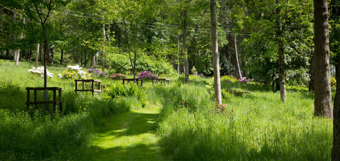 Crookston House, Midlothian Review | The Hotel Guru