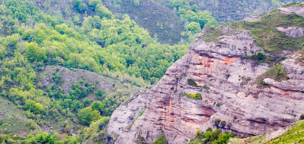 Best places to stay in Tobia, Colombia | The Hotel Guru