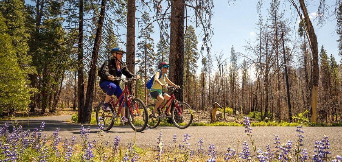 Evergreen Lodge, California, California Review | The Hotel Guru