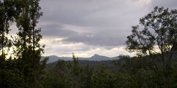 Rajakkad, Tamil Nadu Review | The Hotel Guru