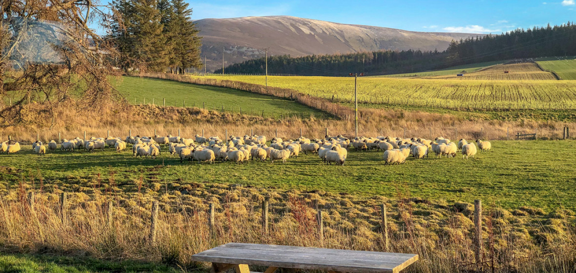 Best places to stay in Moray, United Kingdom | The Hotel Guru