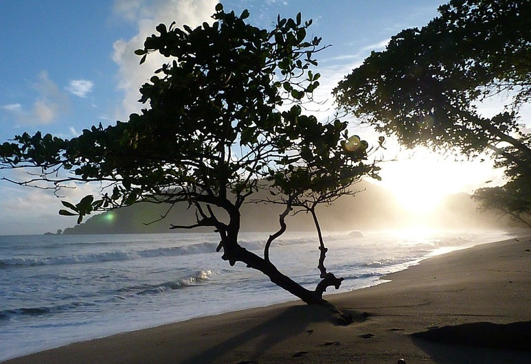 Acajou Hotel, Trinidad Review | The Hotel Guru