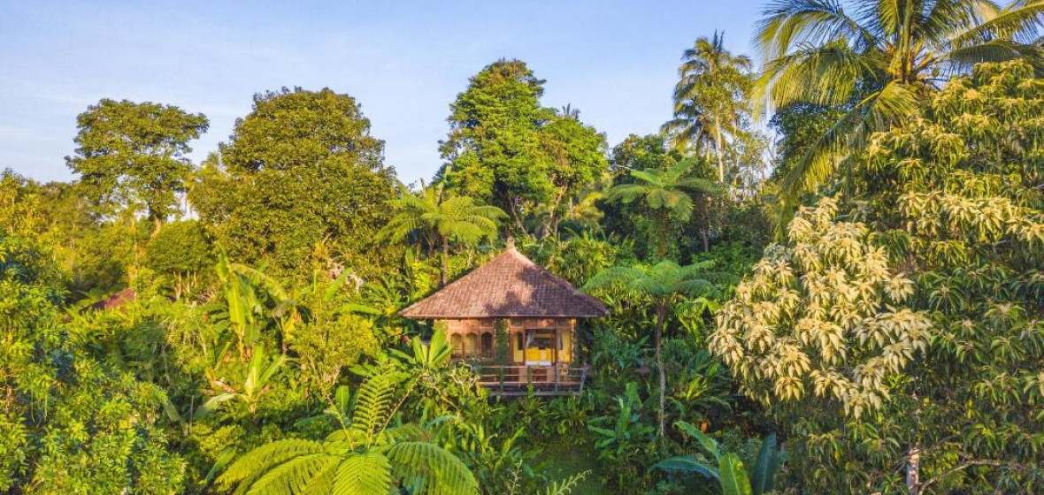 Sarinbuana Eco Lodge, Bali, Indonesia. Expert reviews and highlights ...
