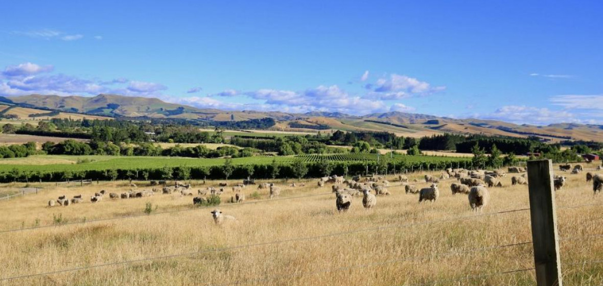 Greystone PurePod, South Island (Waipara), New Zealand. Expert reviews ...