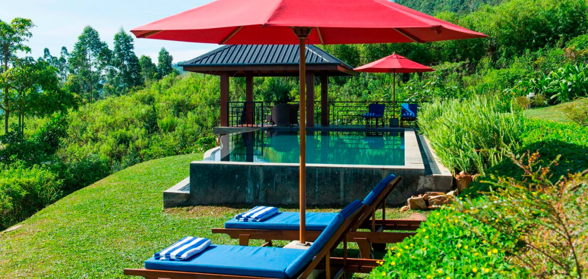 Camellia Hills, Hatton Review | The Hotel Guru