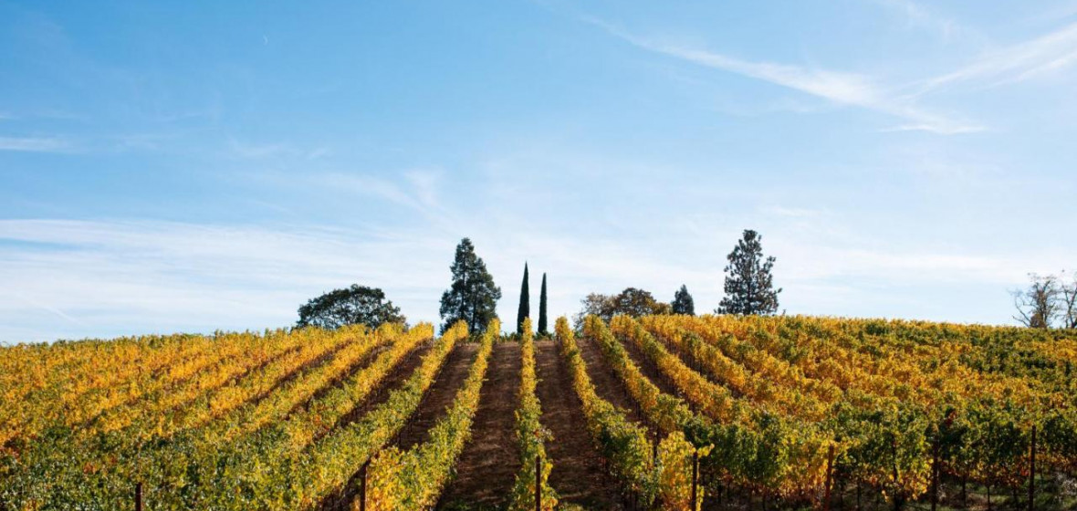 Hummingbird Estate Wine and Suites, Oregon Review | The Hotel Guru