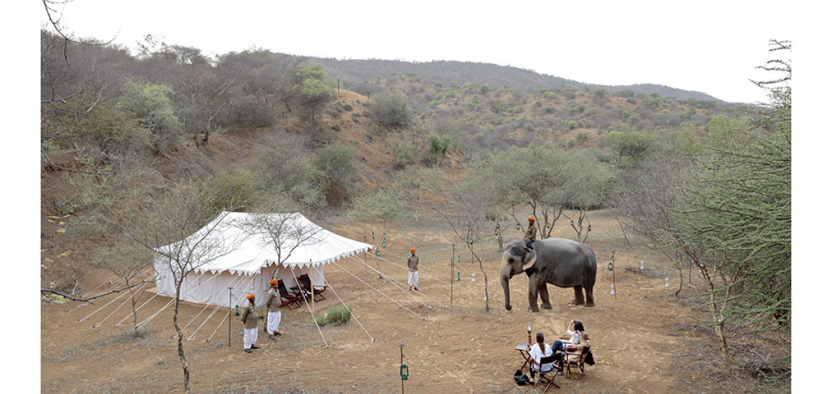 Dera Amer Elephant Camp, Jaipur Review | The Hotel Guru