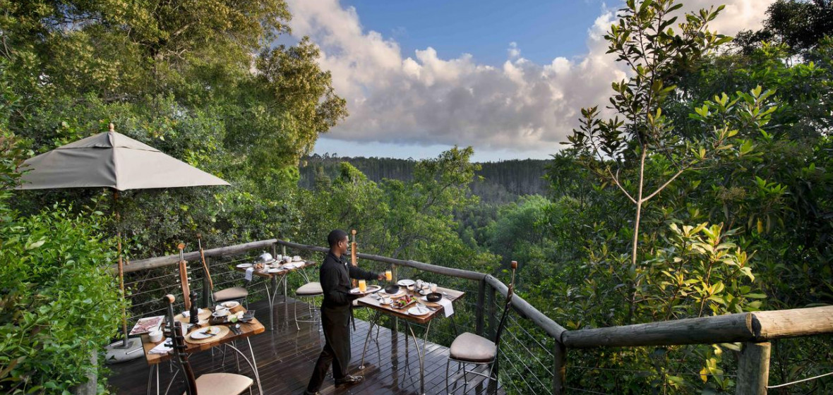 Tsala Treetop Lodges, Plettenberg Bay Review | The Hotel Guru