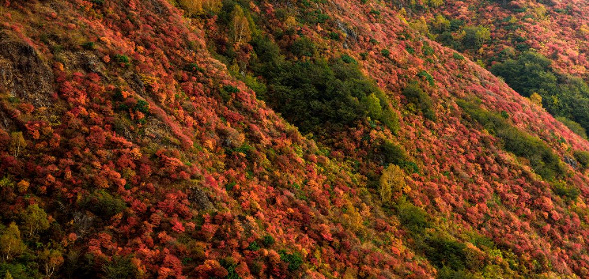 Best places to stay in Nasu, Japan | The Hotel Guru