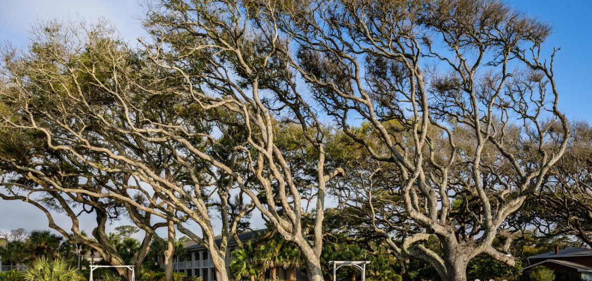 Beachview Club Hotel, Jekyll Island Review | The Hotel Guru