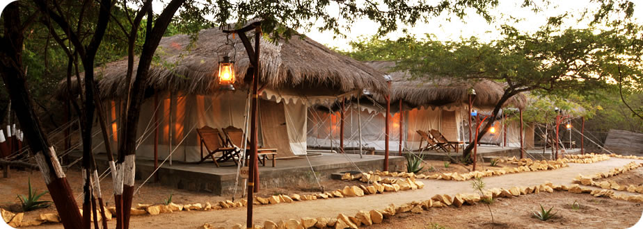 The Beach At Mandvi Palace, Gujarat Review | The Hotel Guru