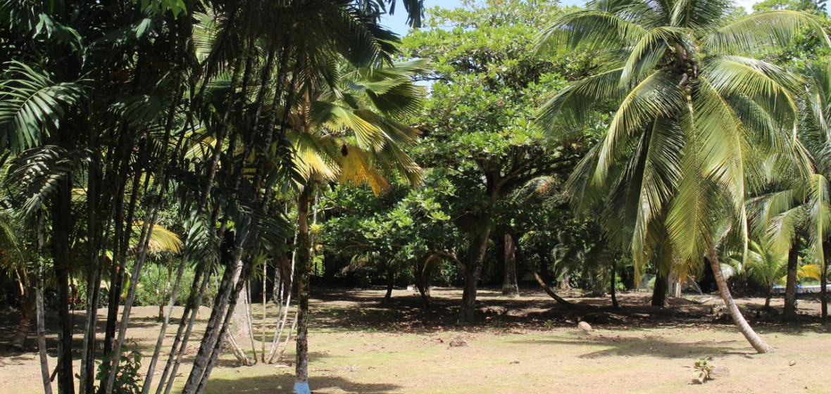 Acajou Hotel, Trinidad Review | The Hotel Guru