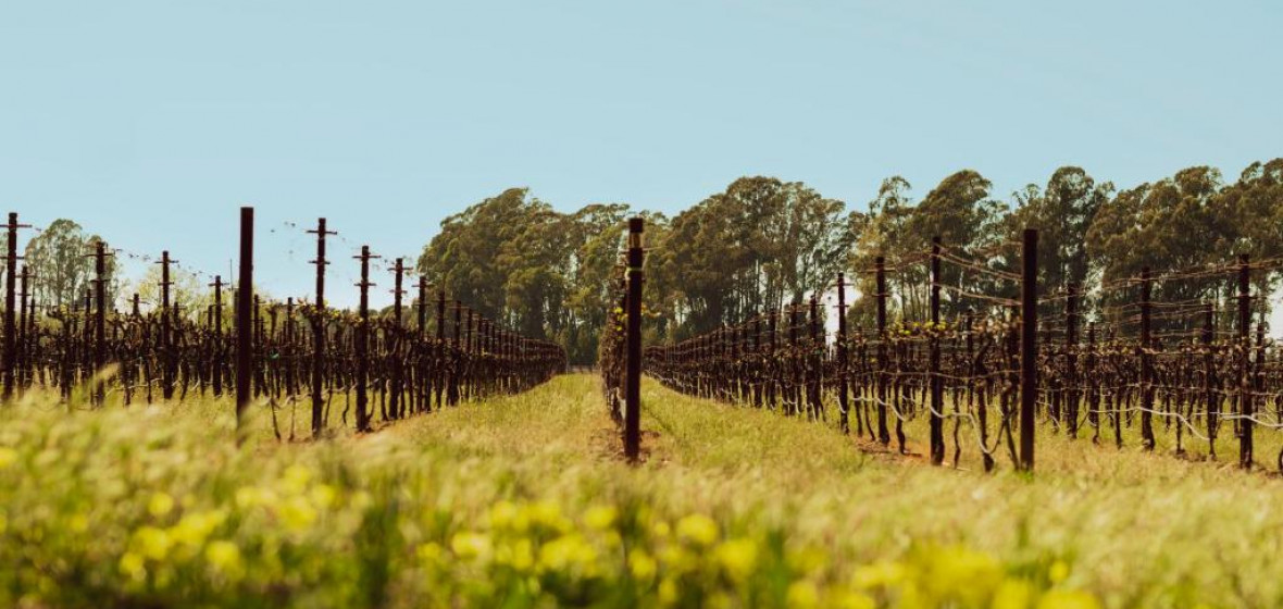 Stanly Ranch, Napa (California), United States of America. Expert ...