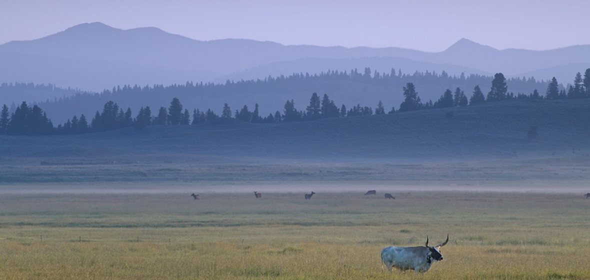 Best places to stay in Greenough, United States of America | The Hotel Guru