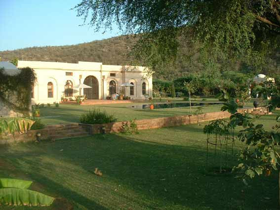 Tikli Bottom, Gurgaon Review | The Hotel Guru