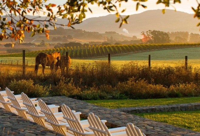 The Carneros Inn, Napa, USA | Discover & Book | The Hotel Guru