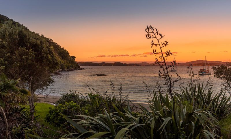 Little Donkey Bay, Bay of Islands Review | The Hotel Guru