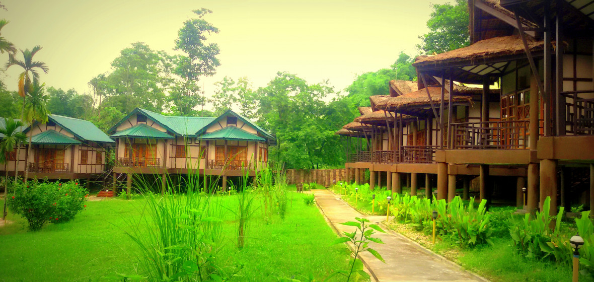 Infinity Resort Kaziranga, Assam Review | The Hotel Guru