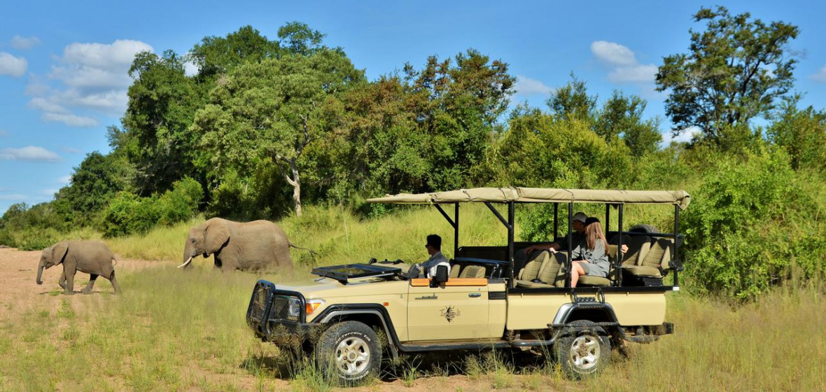 Imbali Safari Lodge Mpumalanga Review The Hotel Guru Imbali Safari Lodge Mpumalanga Review The Hotel Guru