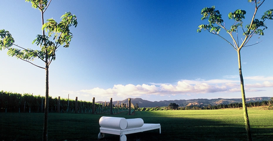 Takatu Lodge & Vineyard, Matakana Review | The Hotel Guru