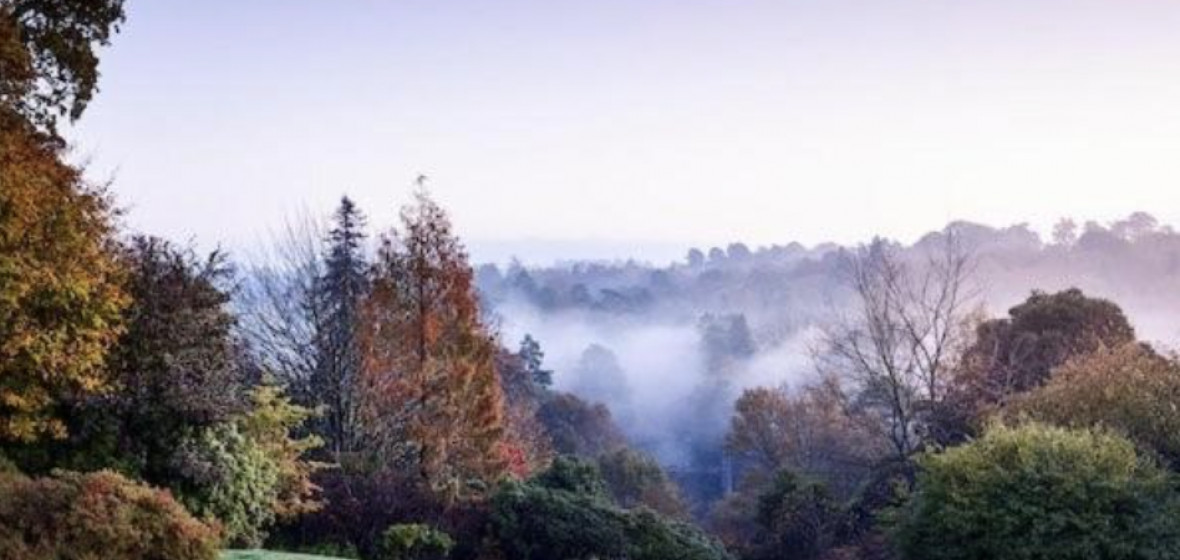 Leonardslee House, West Sussex (Lower Beeding). Expert reviews and ...
