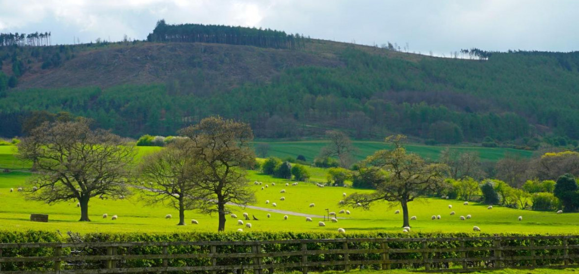 Gisborough Hall, Yorkshire. Expert reviews and highlights | The Hotel Guru